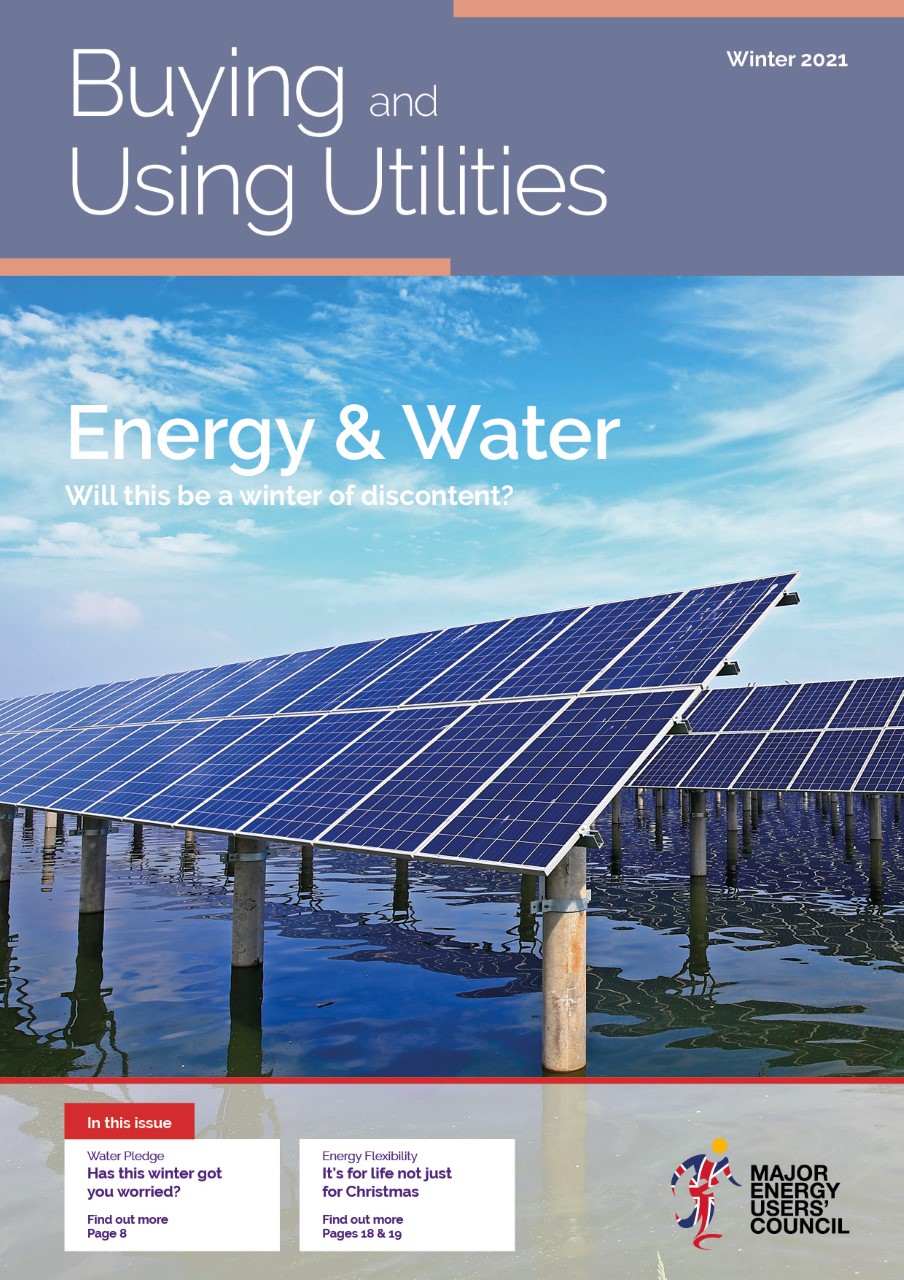 Buying and Using Utilities – MEUC